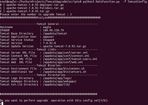 How To Manage Apache Tomcat Update With Python