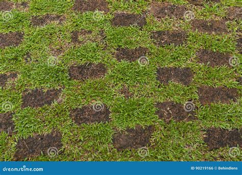 The Walkway Pattern Of Square Laterite Stepping Stone On Fresh Green