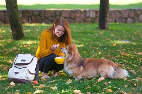 Premium Photo Girl And Dog