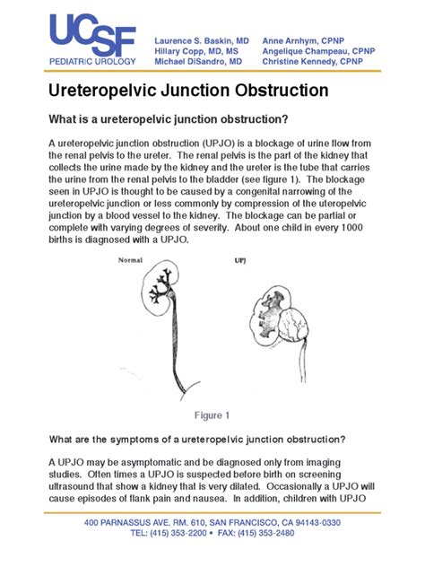 Ureteropelvic Junction Obstruction Guide Pdf Genitourinary System