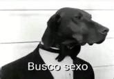 Busco Sexo Know Your Meme