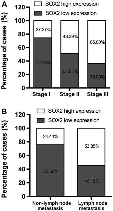 Expression Of Sox2 Is Associated With Non Small Cell Lung Cancer