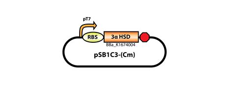 Team Technion Israel Project Expression Igem Org