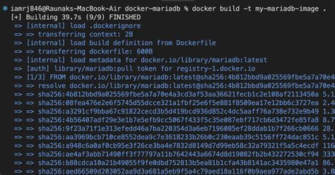 setting up mariadb in docker
