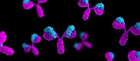 Western Blot Normalization Challenges And Considerations For Quantitative Analysis Biocompare