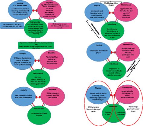 A Schematic Depiction Of Mental Structure And Relationships To Download Scientific Diagram
