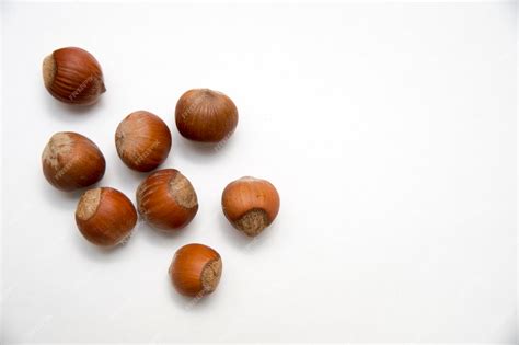 Premium Photo Isolated Photo Of Hazelnut Nut
