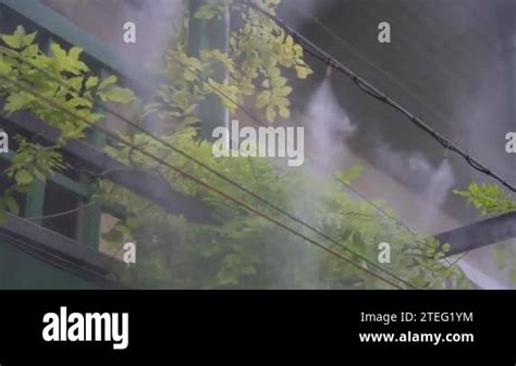 Fogging System Stock Videos And Footage Hd And 4k Video Clips Alamy