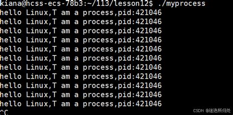 Linux系统 —— 进程系列 进程的概念，pcb与pid和forkpcb Pid Csdn博客
