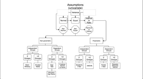 Final Exam Flashcards Quizlet