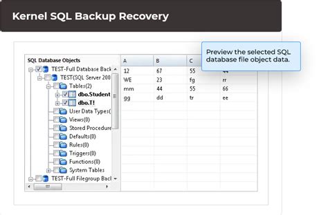 Easy Steps To Recover Database With Sql Database Recovery Tool