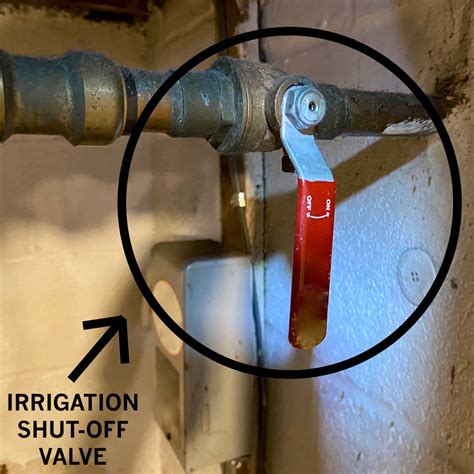 Winterize Backflow Preventer Irrigation Skill