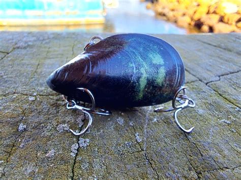 41mm Upgrader Clicker Mussel Vibe Outback Breamer Baits