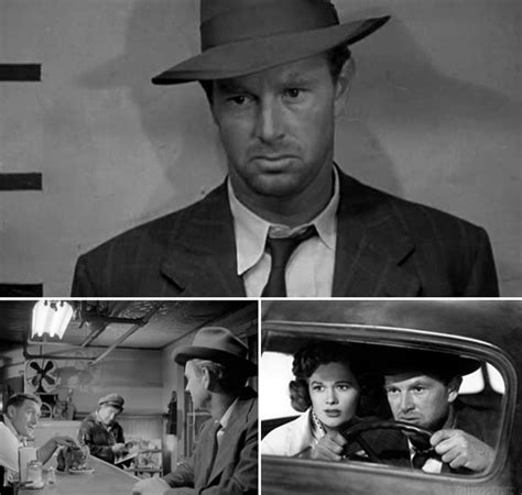 Sterling Hayden Movies 60 Photos Moonagedaydreamfilm