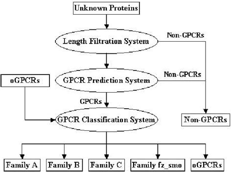 system flowchart for gpcr prediction and classification download