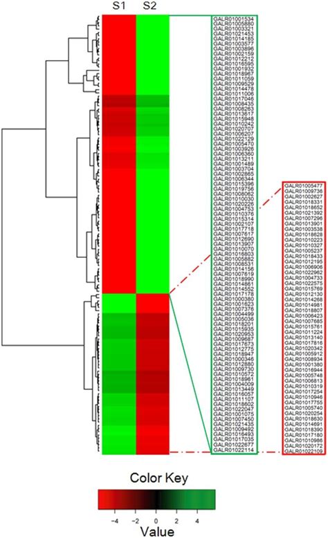 the cluster analysis was performed using hierarchical cluster analysis