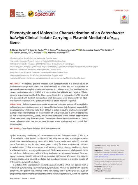 Pdf Phenotypic And Molecular Characterization Of An Enterobacter Ludwigii Clinical Isolate