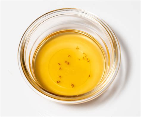 5 Diy Gnat Traps That Work Including Vinegar Homes And Gardens