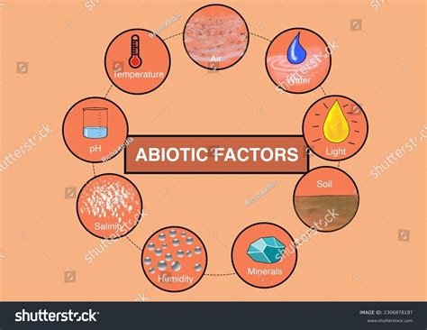 What Are Abiotic Factors Of The Grassland Biome Sciencing Producers