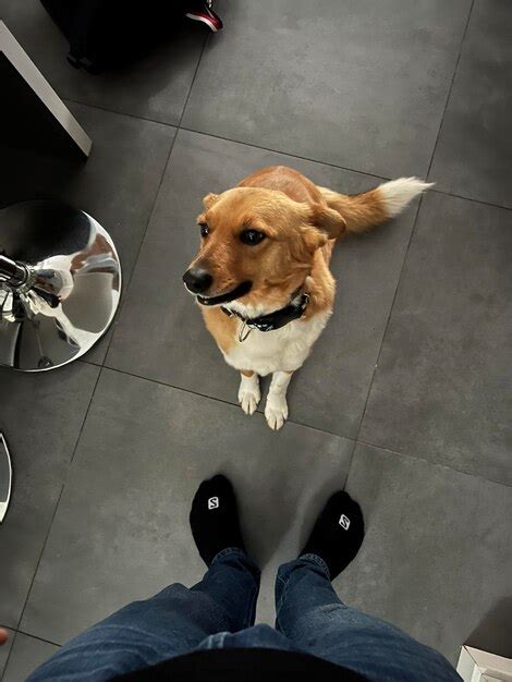 Premium Photo Personal Perspective