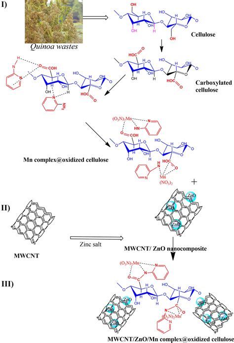 Procedure Of Mwcnt Zno Mn Complex Oxidized Cellulose Synthesis Download Scientific Diagram