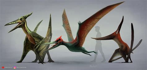 Pteranodon By Mariolanzas On Deviantart