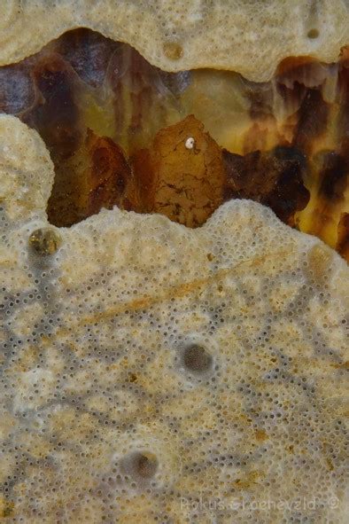 Dreischor Gemaal 30 Of 91