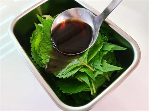 깻잎장아찌 간장깻잎절임 쉽고 간단한 간장 깻잎지