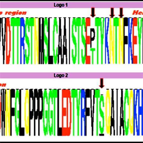 Variability Of Amino Acid Residues Using Seqlogo The Twenty Three