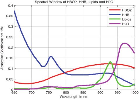 Absorption Spectra Of Deoxy Hemoglobin Hb Oxy Hemoglobin Hbo 2