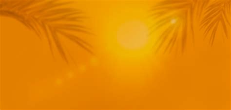 컬러 벽에 야자수 잎에서 흐릿한 실루엣 그림자와 미니멀리스트 열대 배경 열 대 낙원 최소 배치 배경 크리에이 티브 제품 플랫폼 무대 모형 프리젠 테이션 관목에 대한 스톡