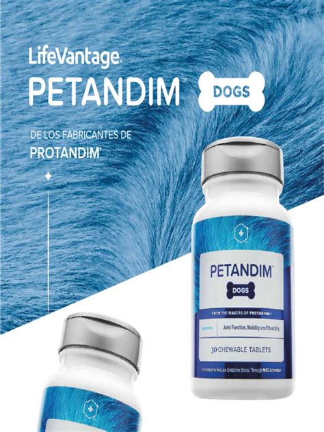 Broshurepetandim Pdf