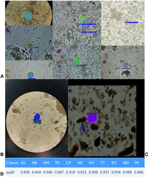 figure 4 from multitask learning via pseudo label generation and