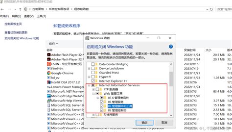 windows10系统开启iis功能 csdn博客