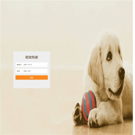 Web课程设计：宠物网站设计——萌宠有家5页 Htmlcss 简单div布局宠物介绍网页模板代码宠物展示html项目总结 Csdn博客