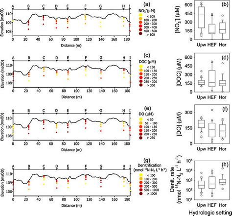 Spatial Variation In Porewater Concentrations Of A And B Nitrate C