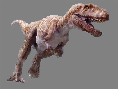 Megalosaurus Dinopedia Fandom