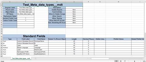 How To Export Custom Metadata Types In Salesforce Bofc