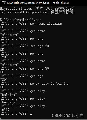 Redis详细介绍及在java中的应用java中resdis组件使用 Csdn博客