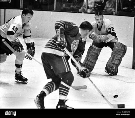 California Golden Seals Bill Hicke 9 Takes A Shot At Los Angeles Kings Goalie Terry Sawchuk