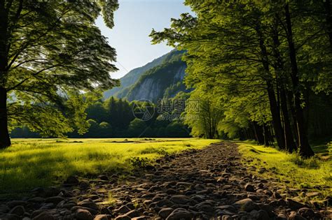 美丽的生态环境高清图片下载 正版图片600441082 摄图网