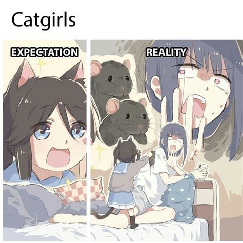 Follow Us For More Funny Anime Memes ⁠ ‏ Anime Manga Otaku Cosplay