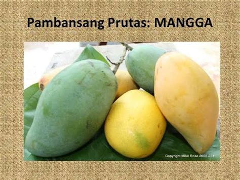 Pambansang Prutas Philippines Three Stars And A Sun Triangle Tote