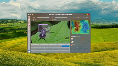 基于yolov8 yolov7 yolov6 yolov5的农作物害虫检测系统—深度学习 ui界面 训练数据 哔哩哔哩