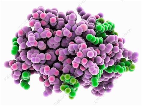 Bacterial Rhomboid Protease Glpg Stock Image C0355652 Science