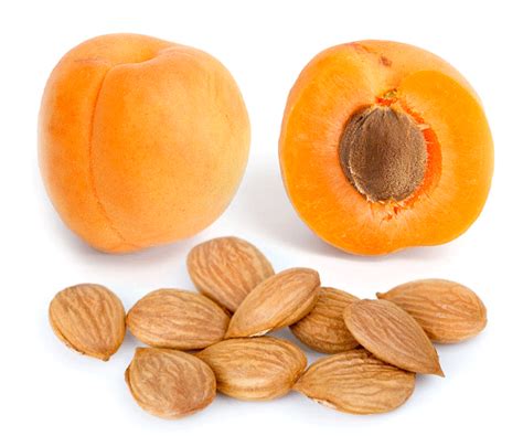 Organic Apricot Kernel Oil ‣ Parodi Nutra