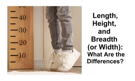 Length Height And Breadth Or Width What Are The Differences