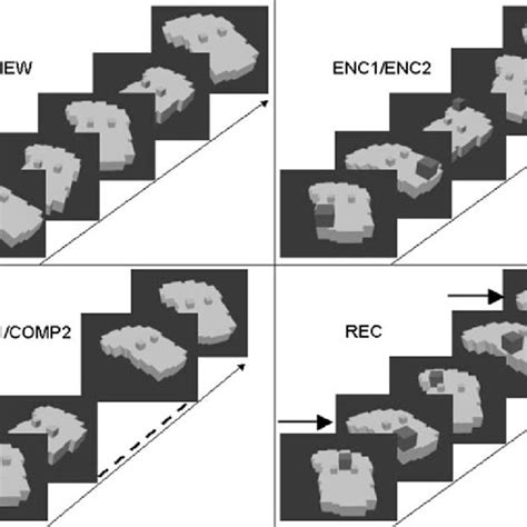 schematic illustration of the six conditions of the spatial memory task