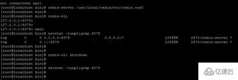 linux如何启动redis 关系型数据库 亿速云