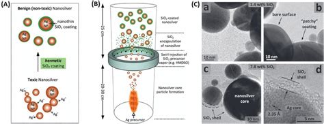 A Effect Of A Hermetic SiO2 Coating On The Flocculation And Toxicity Download Scientific